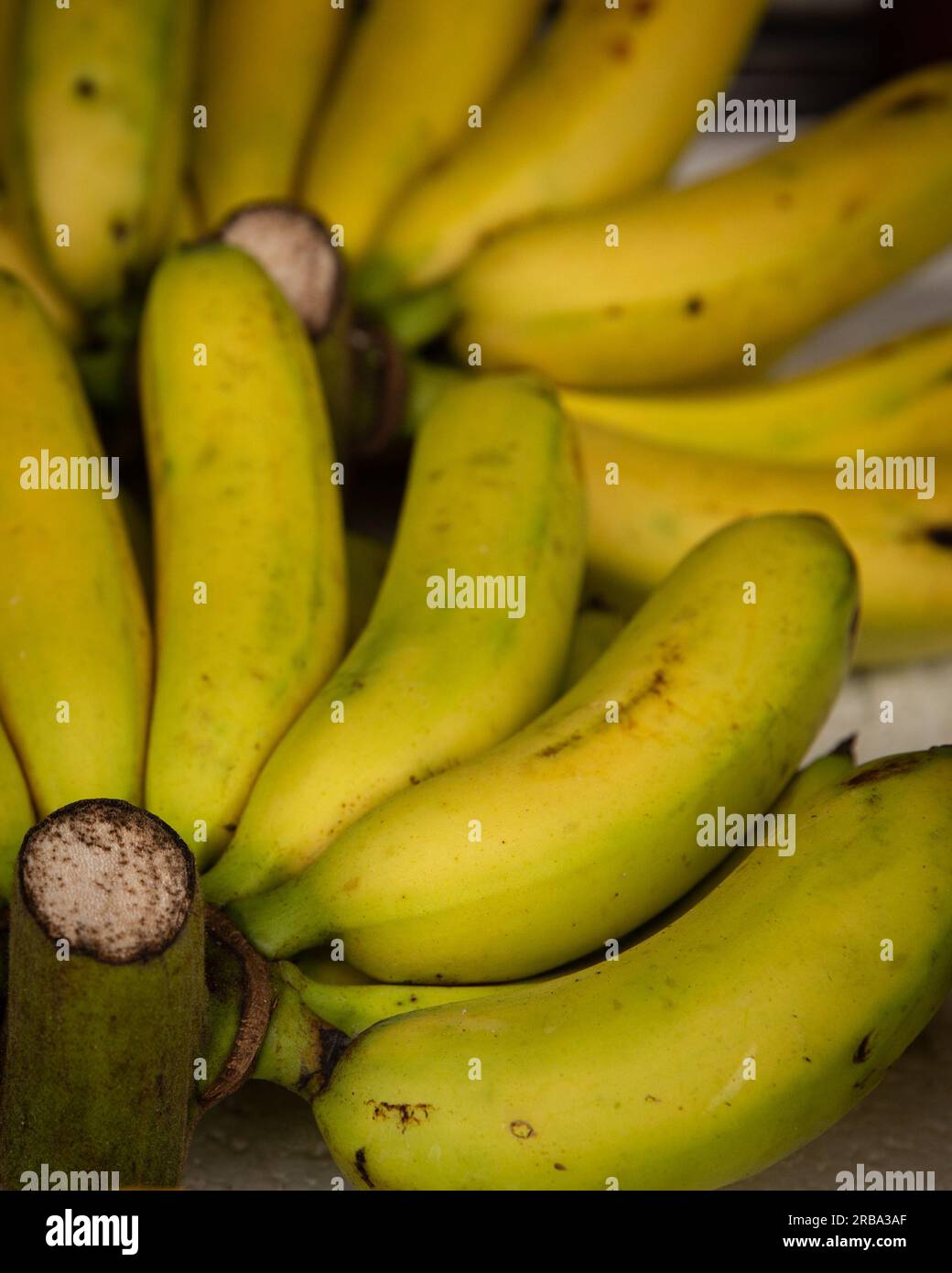 Close up on Mini Bananas in Vietnamese fruit market Stock Photo - Alamy