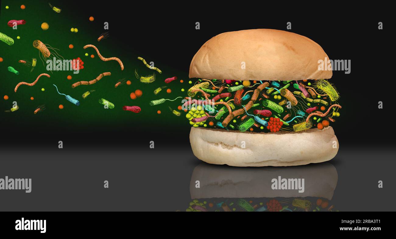 Bacterial Food Contamination And E Coli Or Salmonella Contaminated Burger Meat As Bacteria Or