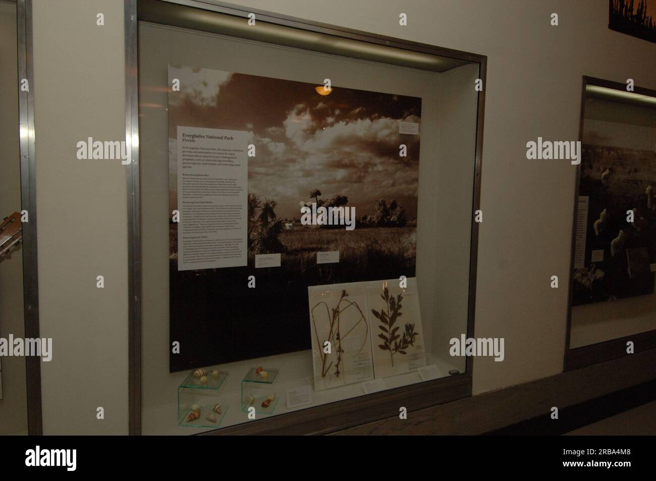 Interior Museum exhibits, viewing spaces Stock Photo - Alamy