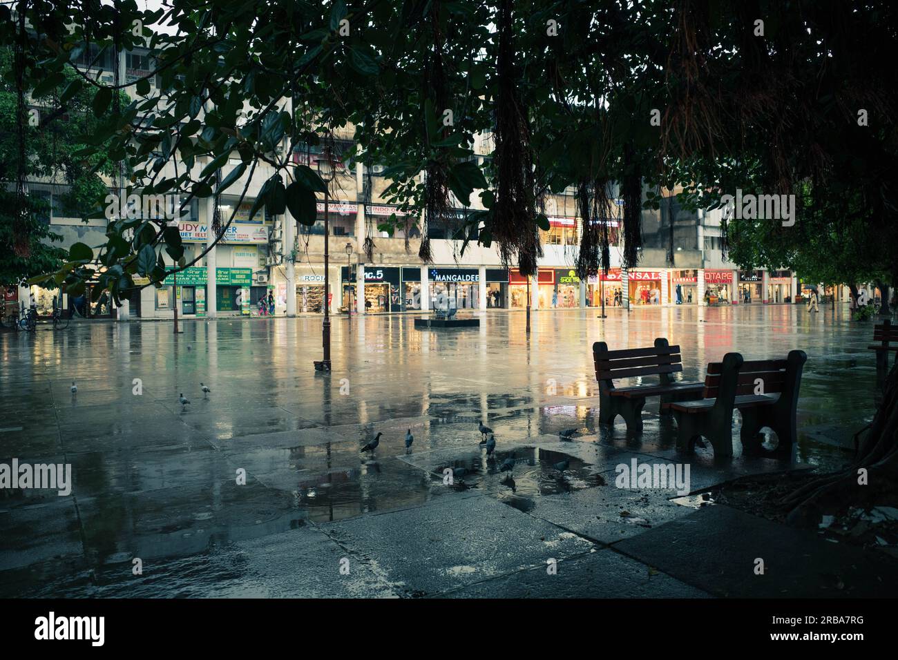 Sector 17 Chandigarh Stock Photo - Alamy