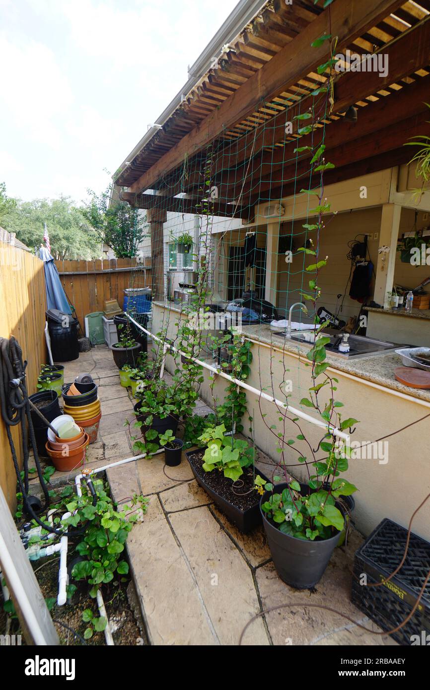 Plastic pipe trellis hi-res stock photography and images - Alamy