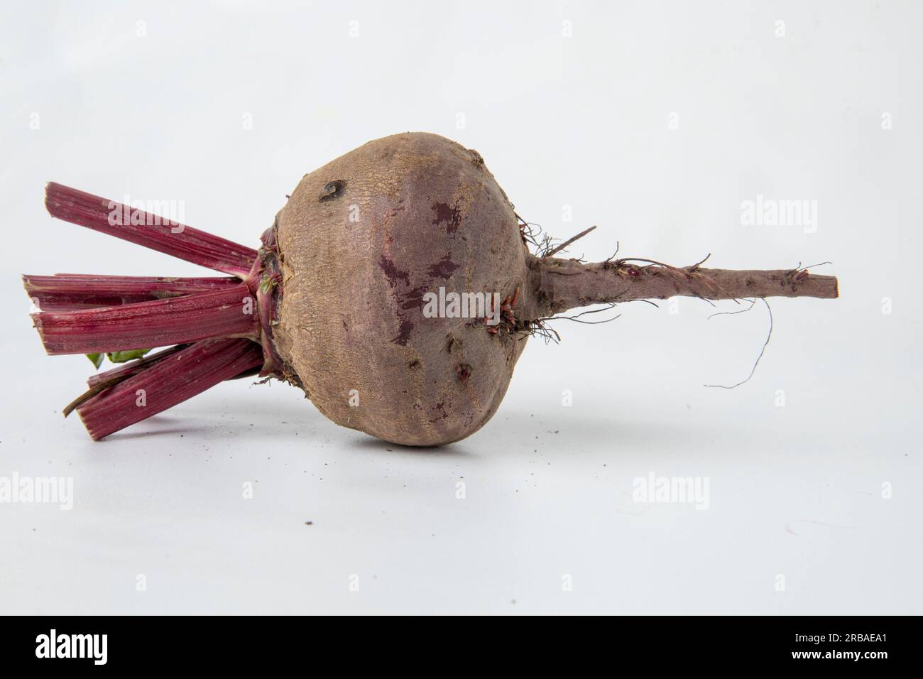 Red fresh beetroot isolated hi-res stock photography and images - Alamy