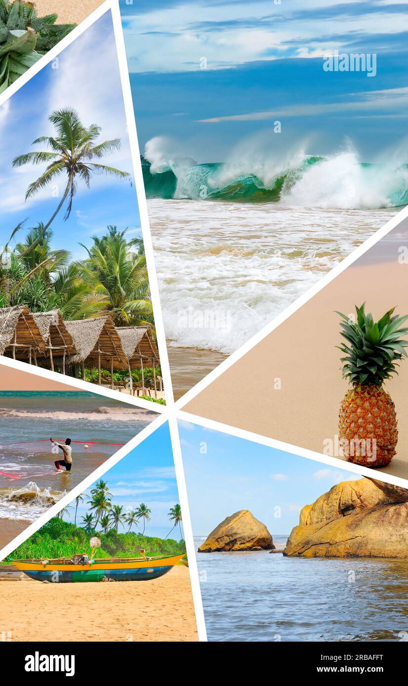 Photo collage of tropical landscapes located in mosaic. Concept ...