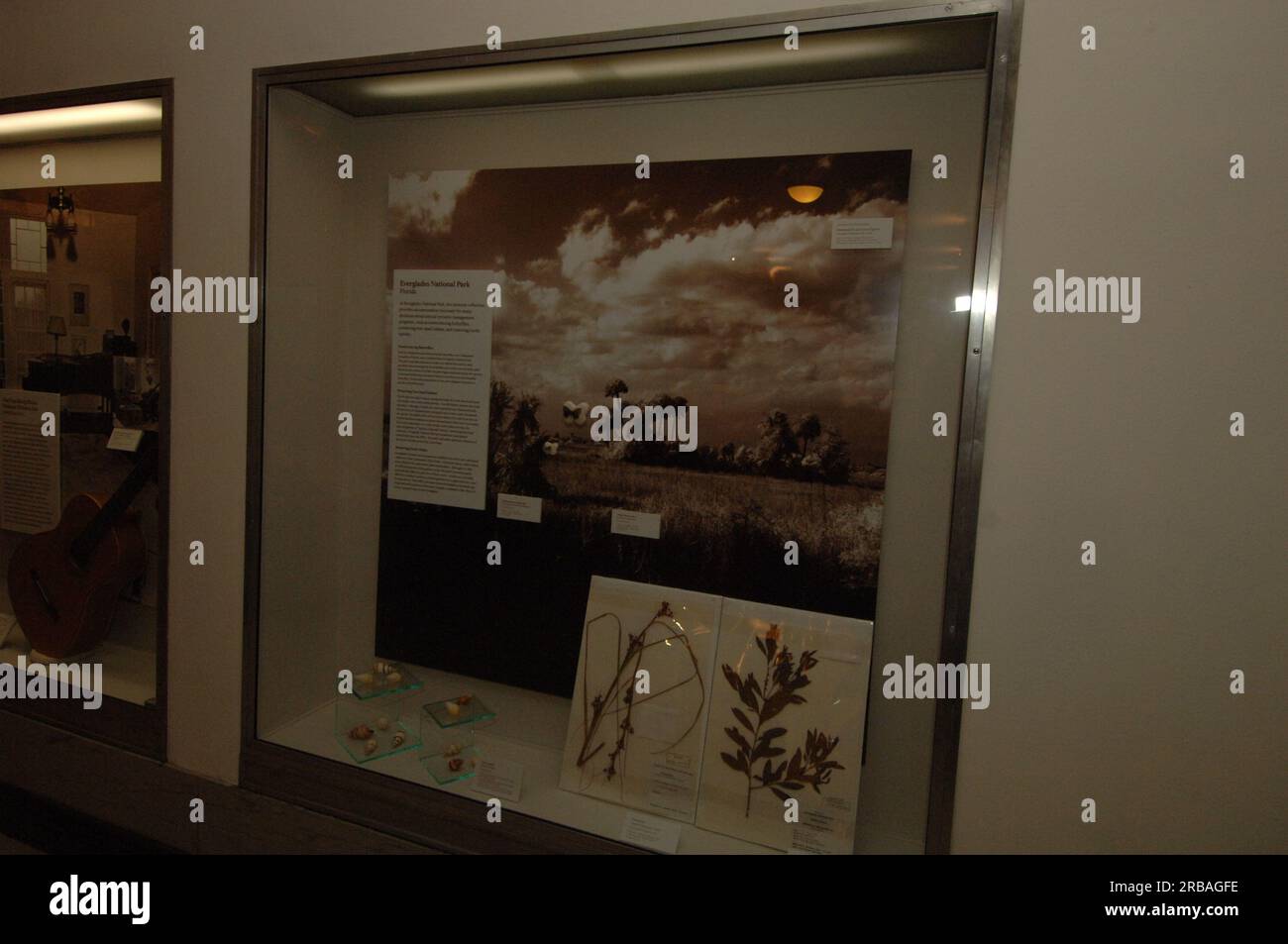 Interior Museum exhibits, viewing spaces Stock Photo - Alamy