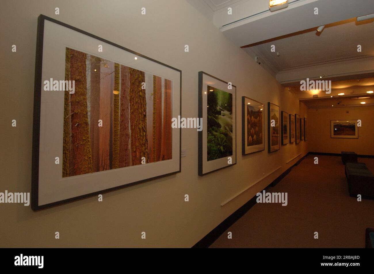 Interior Museum exhibits, viewing spaces Stock Photo - Alamy