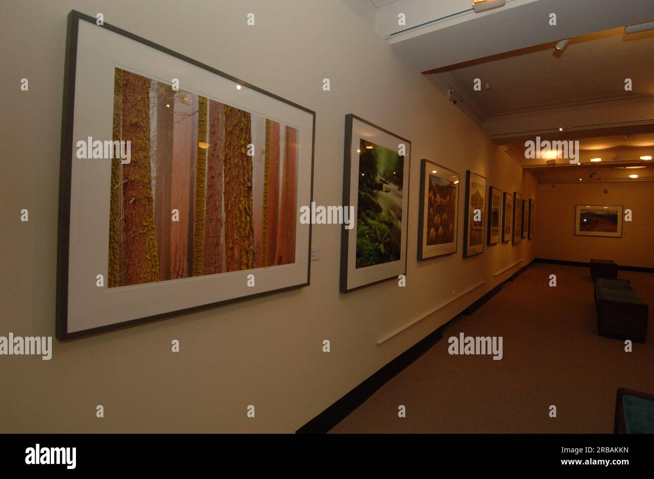Interior Museum exhibits, viewing spaces Stock Photo - Alamy