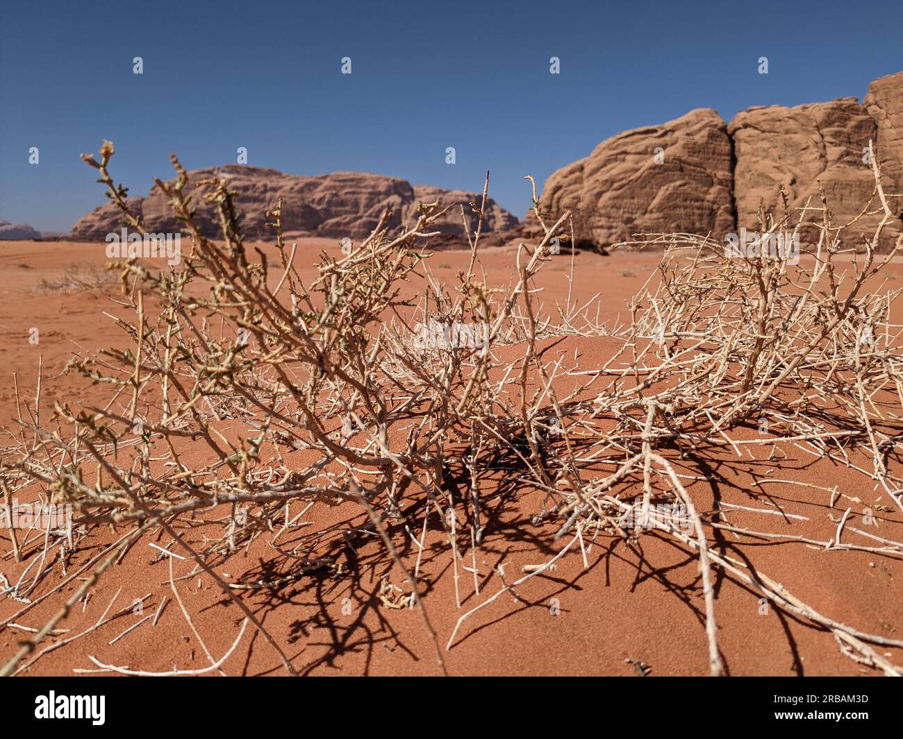 Wadi Rum Desert, Jordan. The red desert and Jabal Al Qattar mountain ...