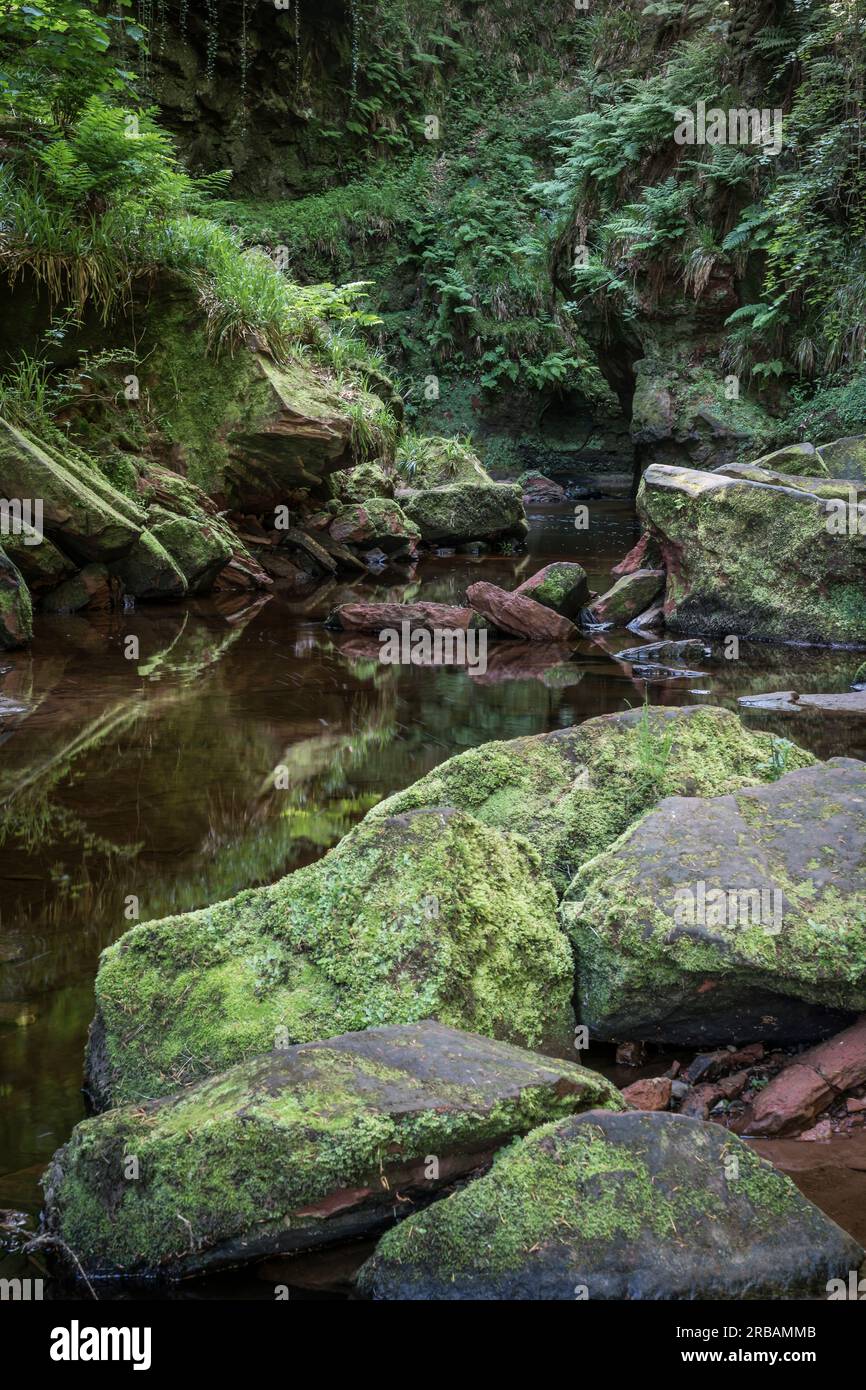 Devils pulpit glasgow hi-res stock photography and images - Alamy