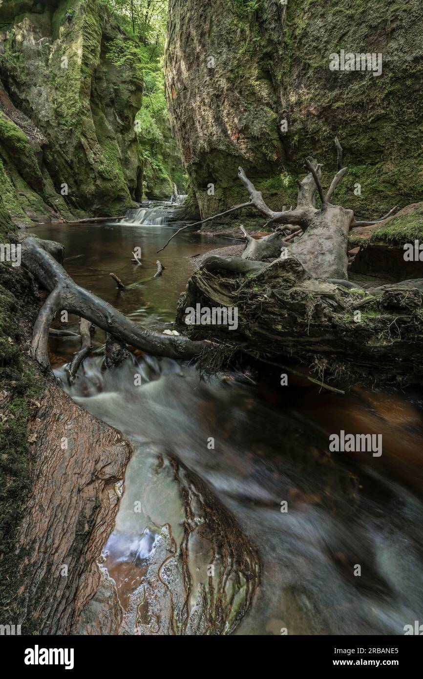 Narrow valley called Devils Pulpit near Glasgow Stock Photo - Alamy