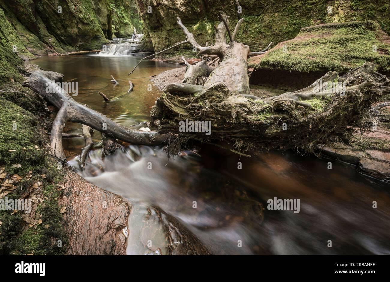 Devils pulpit glasgow hi-res stock photography and images - Alamy