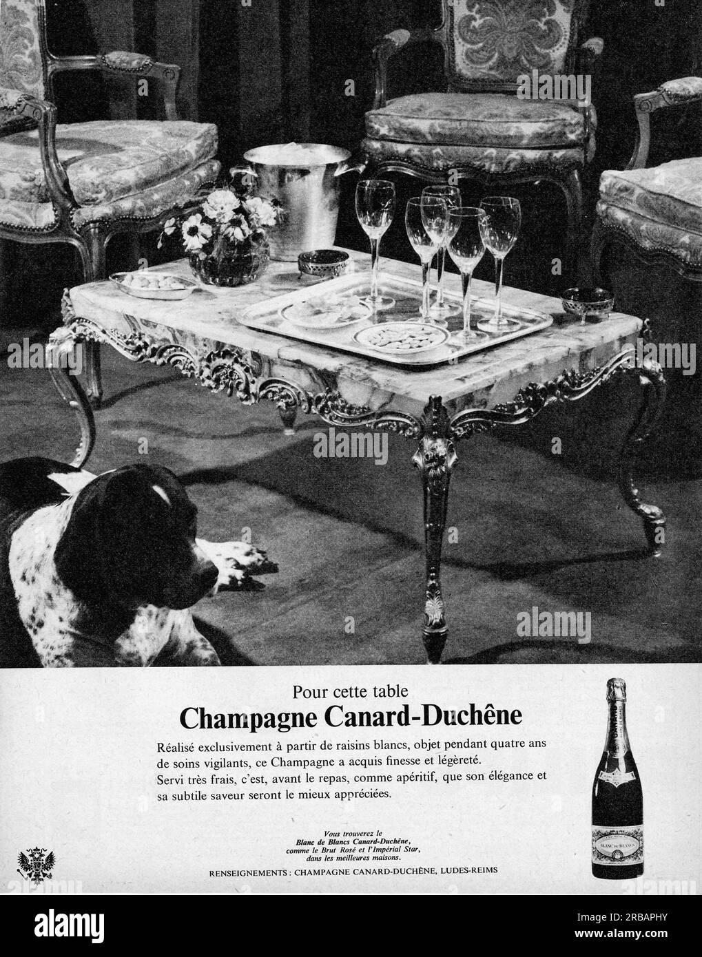 Champagne Canard-Duchêne advert in a French magazine 1965 Stock Photo ...