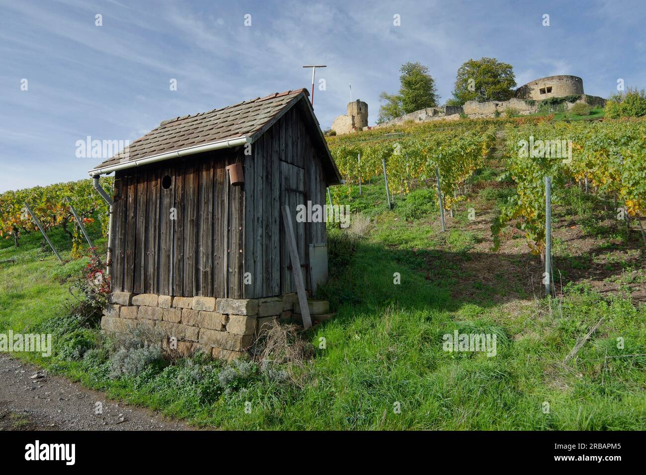 Vineyard hut, autumn in the vineyards near the Weibertreu castle ruins ...