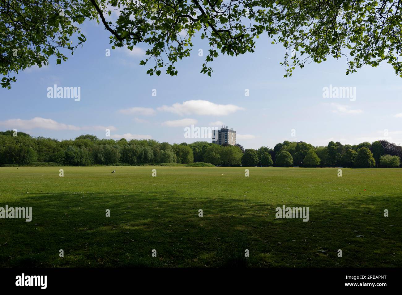 Dingle liverpool hi-res stock photography and images - Alamy