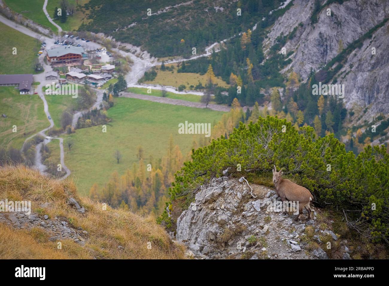 Gramai alpine valley hi-res stock photography and images - Alamy