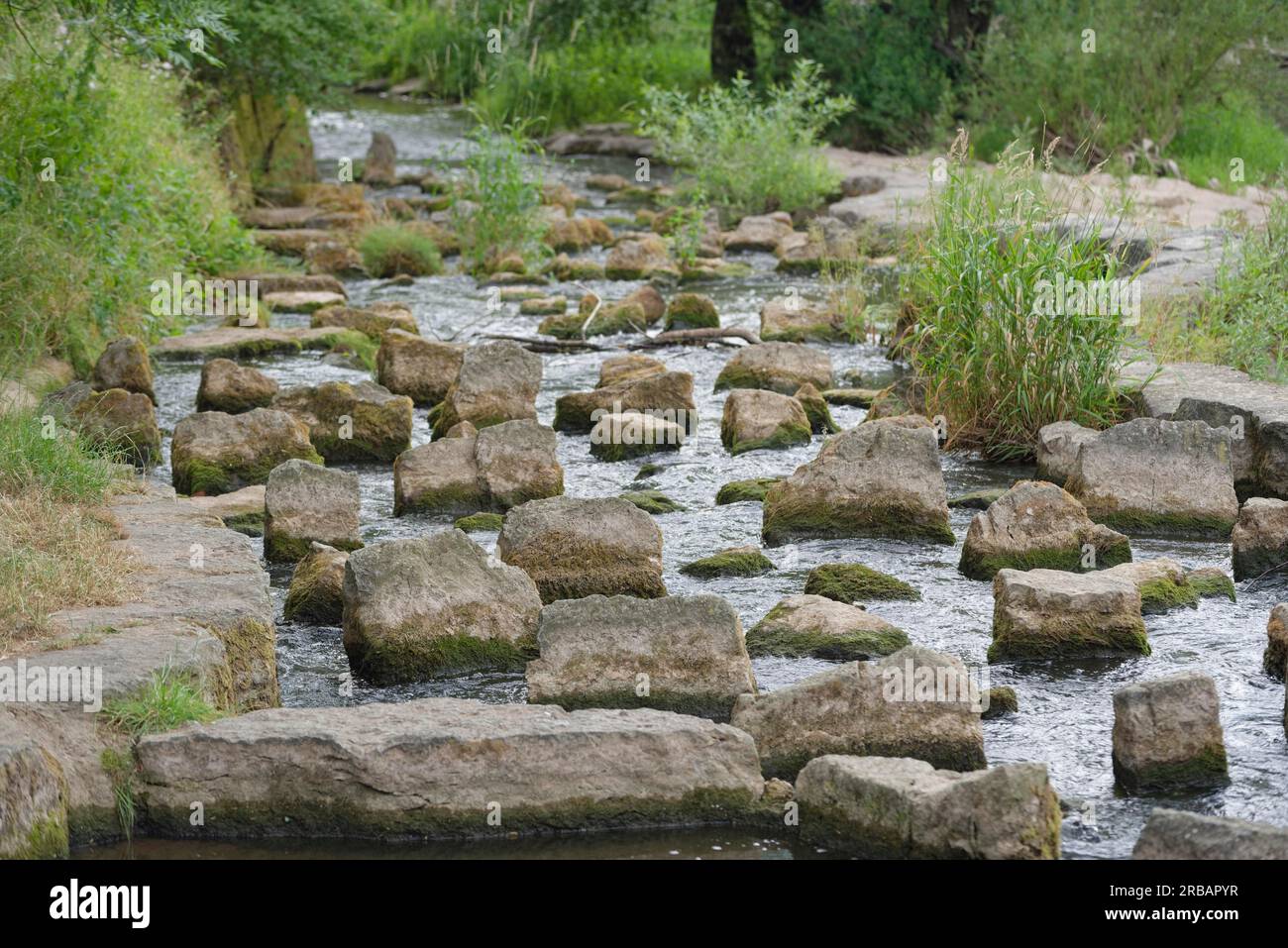 Fish ladder city hi-res stock photography and images - Alamy