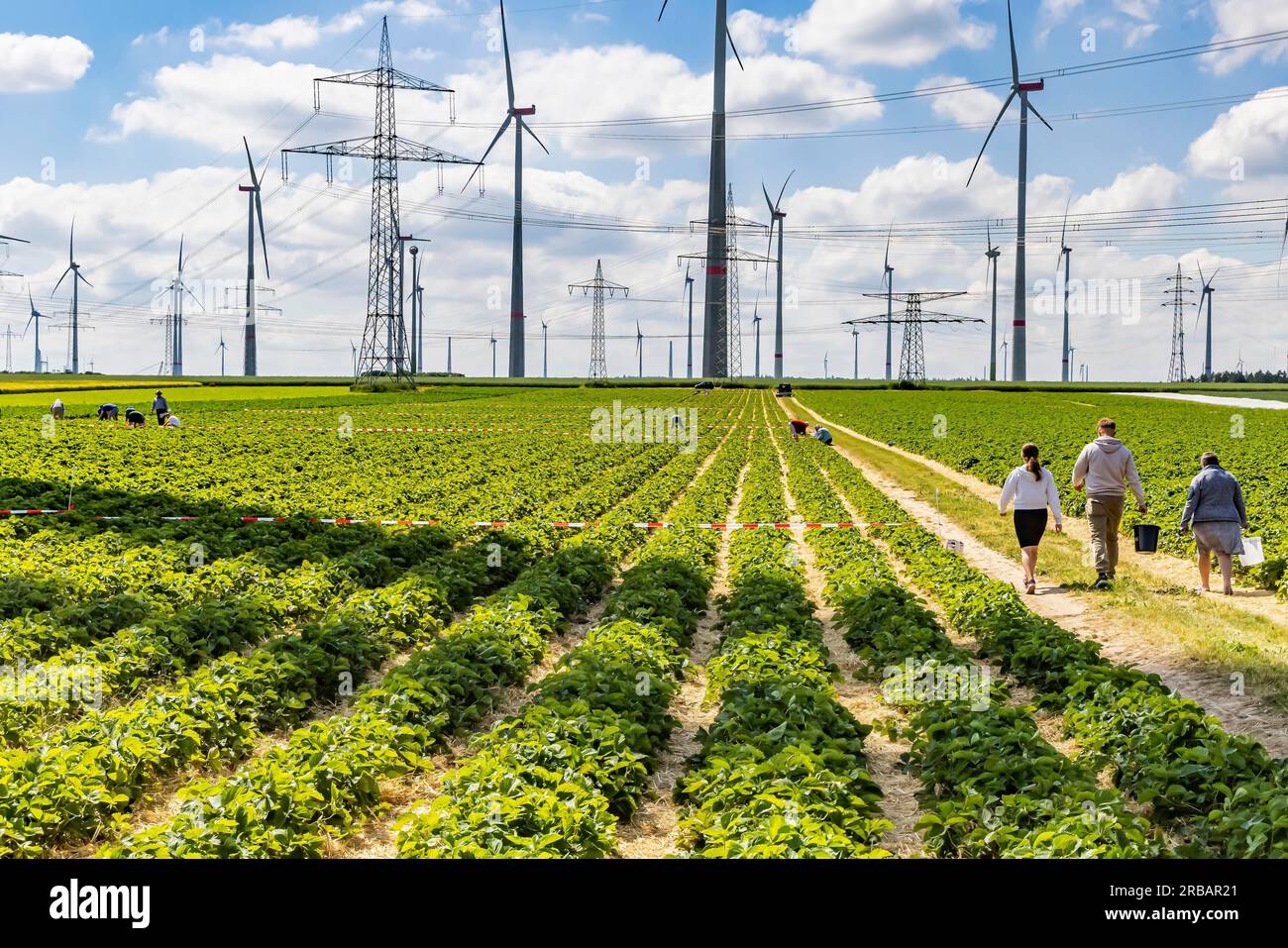 Sintfeld wind farm, plateau between Bad Wuennenberg and Meerhof, site ...
