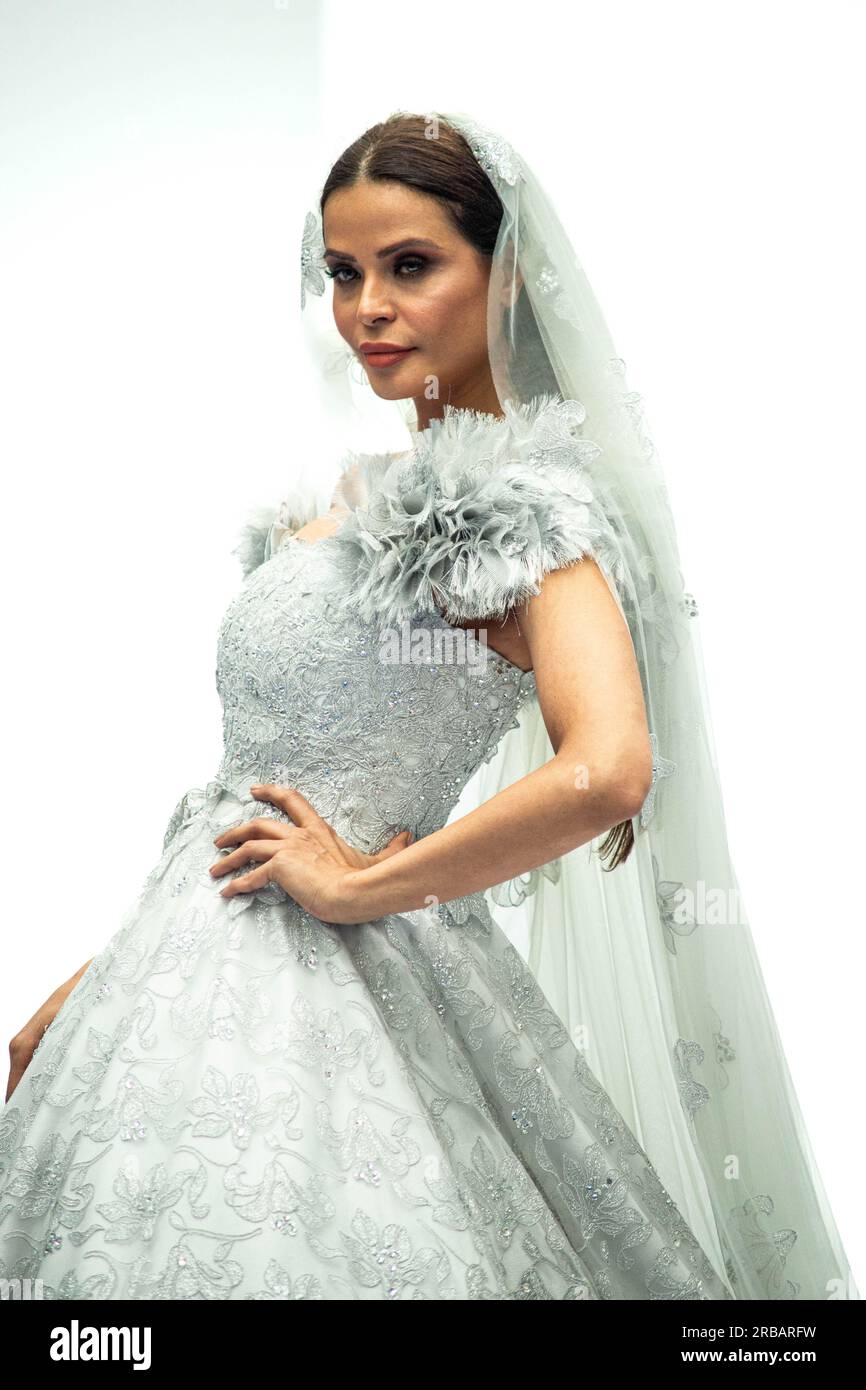 Ambassador mana dabbas hi-res stock photography and images - Alamy