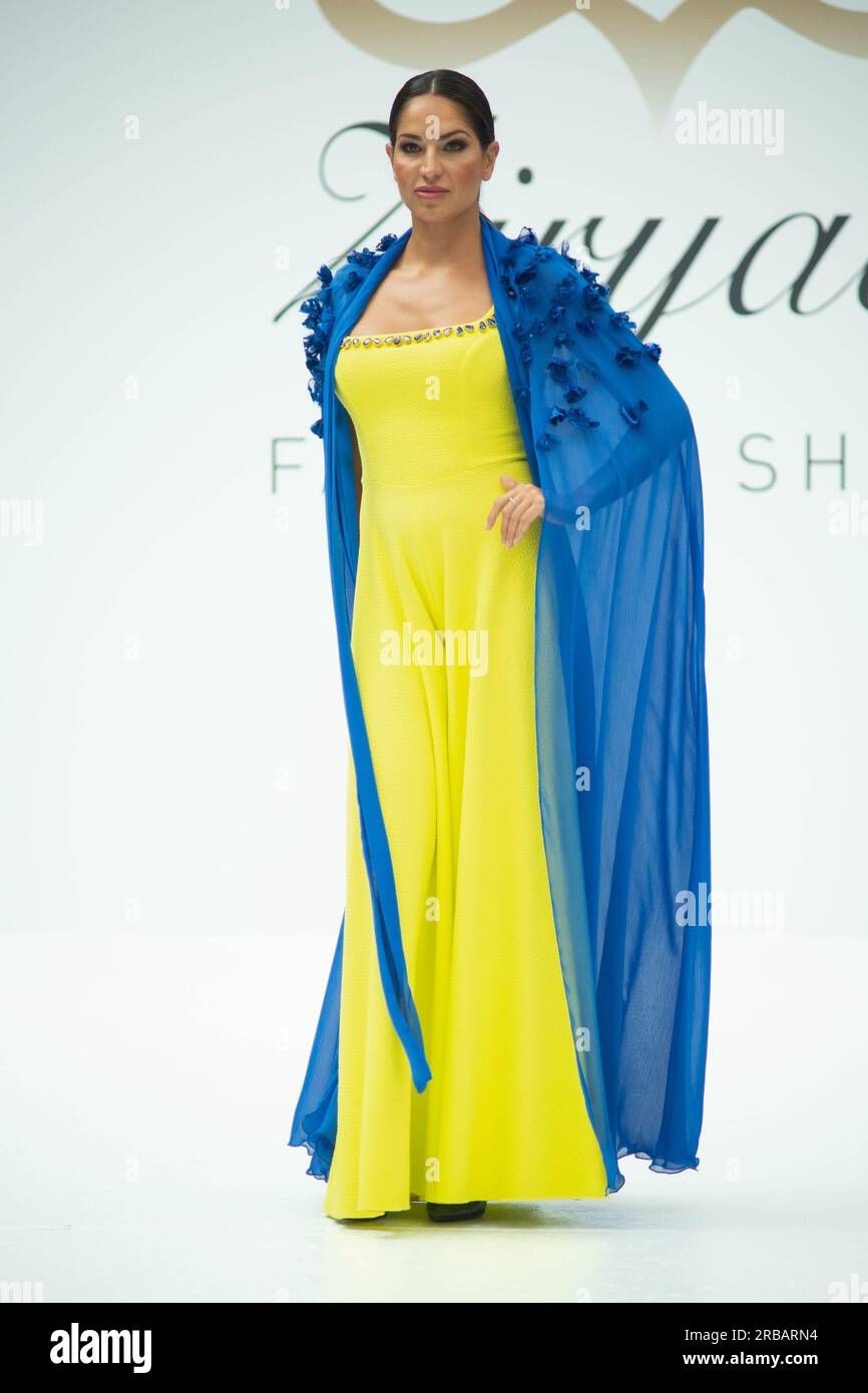 Ambassador mana dabbas hi-res stock photography and images - Alamy