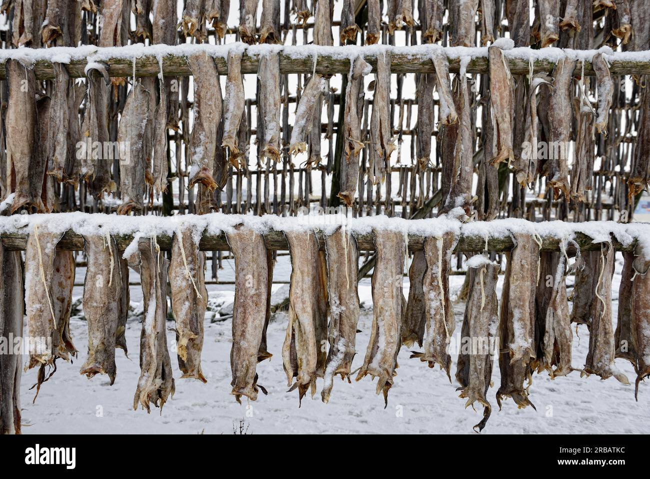 Drying racks for stockfish, Svolvaer, Lofoten, Norway Stock Photo - Alamy