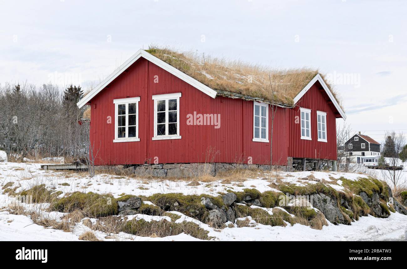Lofoten house with grass roof, Tranoy, Lofoten, Norway Stock Photo - Alamy