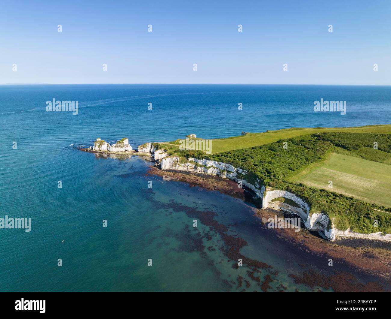 Aerial view of the chalk coast Old Harry Rocks, Jurassic Coast, Isle of ...