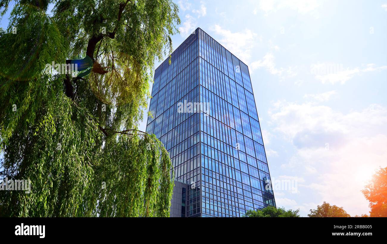 Eco architecture. Green tree and glass office building. The harmony of ...