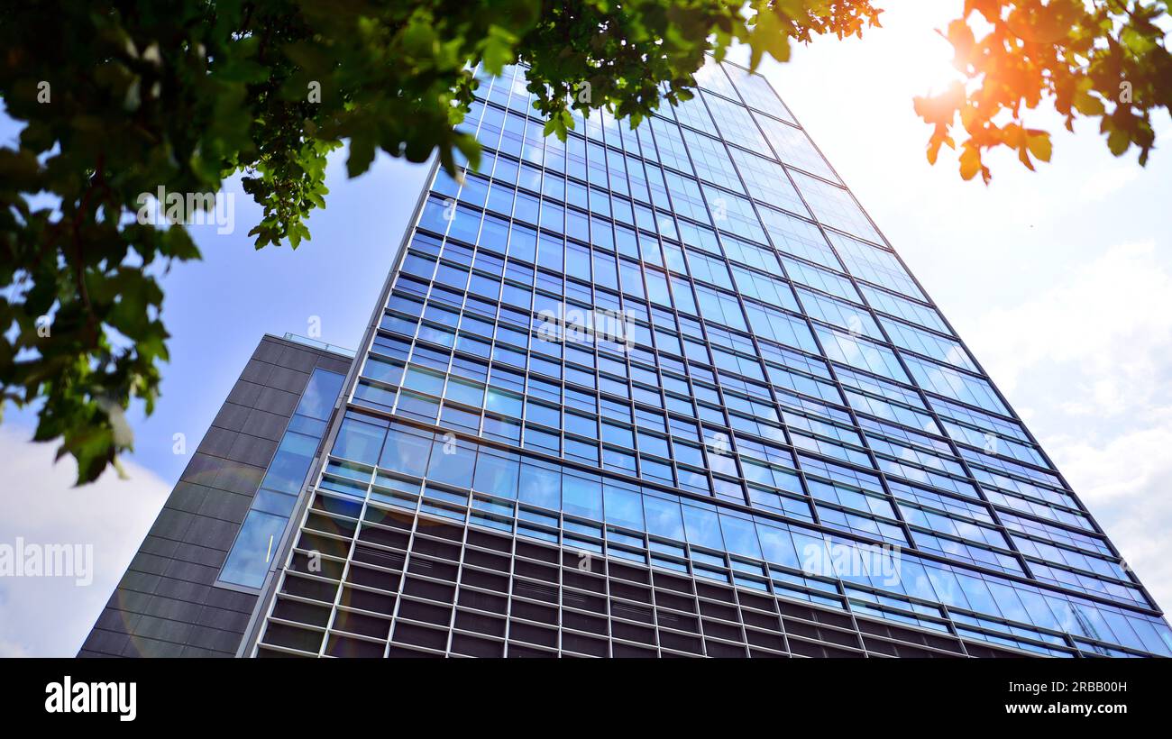 Eco architecture. Green tree and glass office building. The harmony of ...