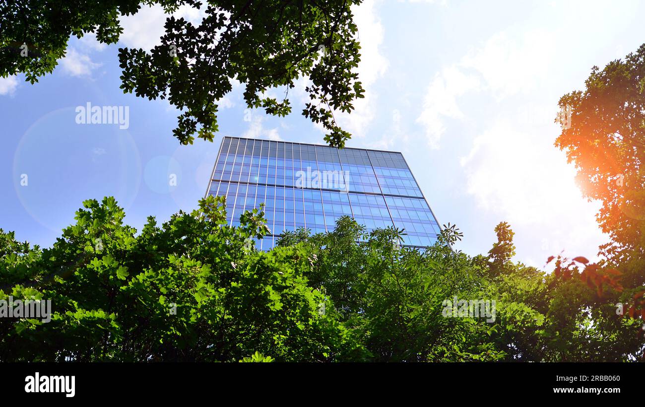 Eco architecture. Green tree and glass office building. The harmony of ...