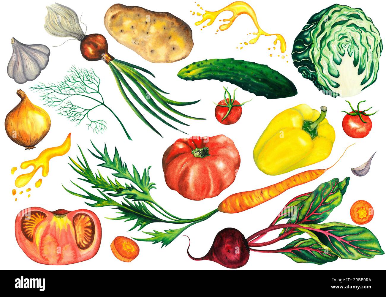 Hand drawn vegetable set of isolated beetroot, carrot, potato, onion ...