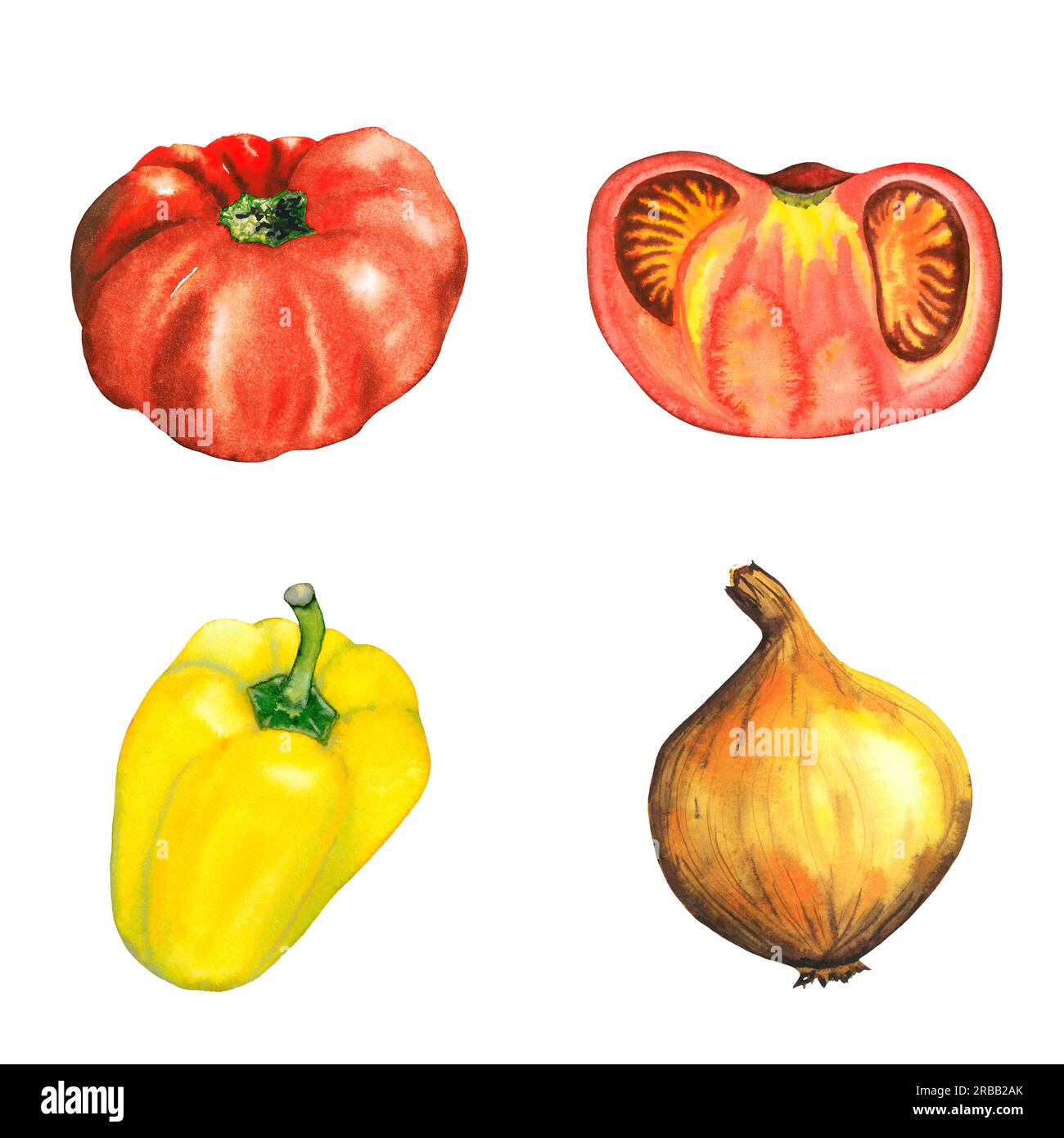 Watercolor vegetables set with tomato, bell paper, onion. Hand drawn ...