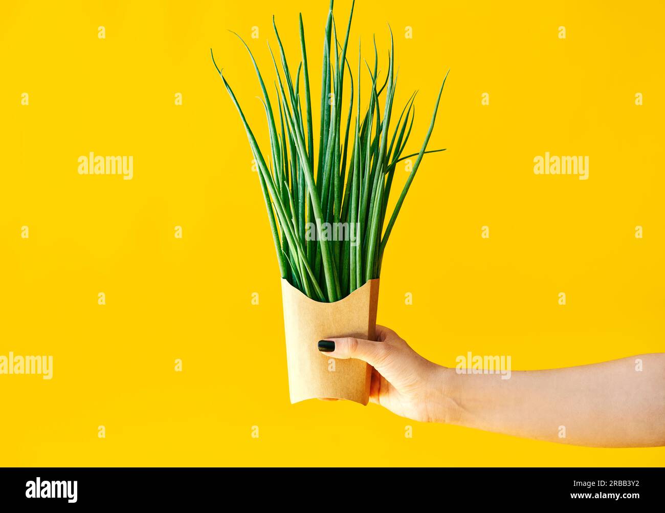 Fresh green onions in fast food paper box in woman hand on bright ...