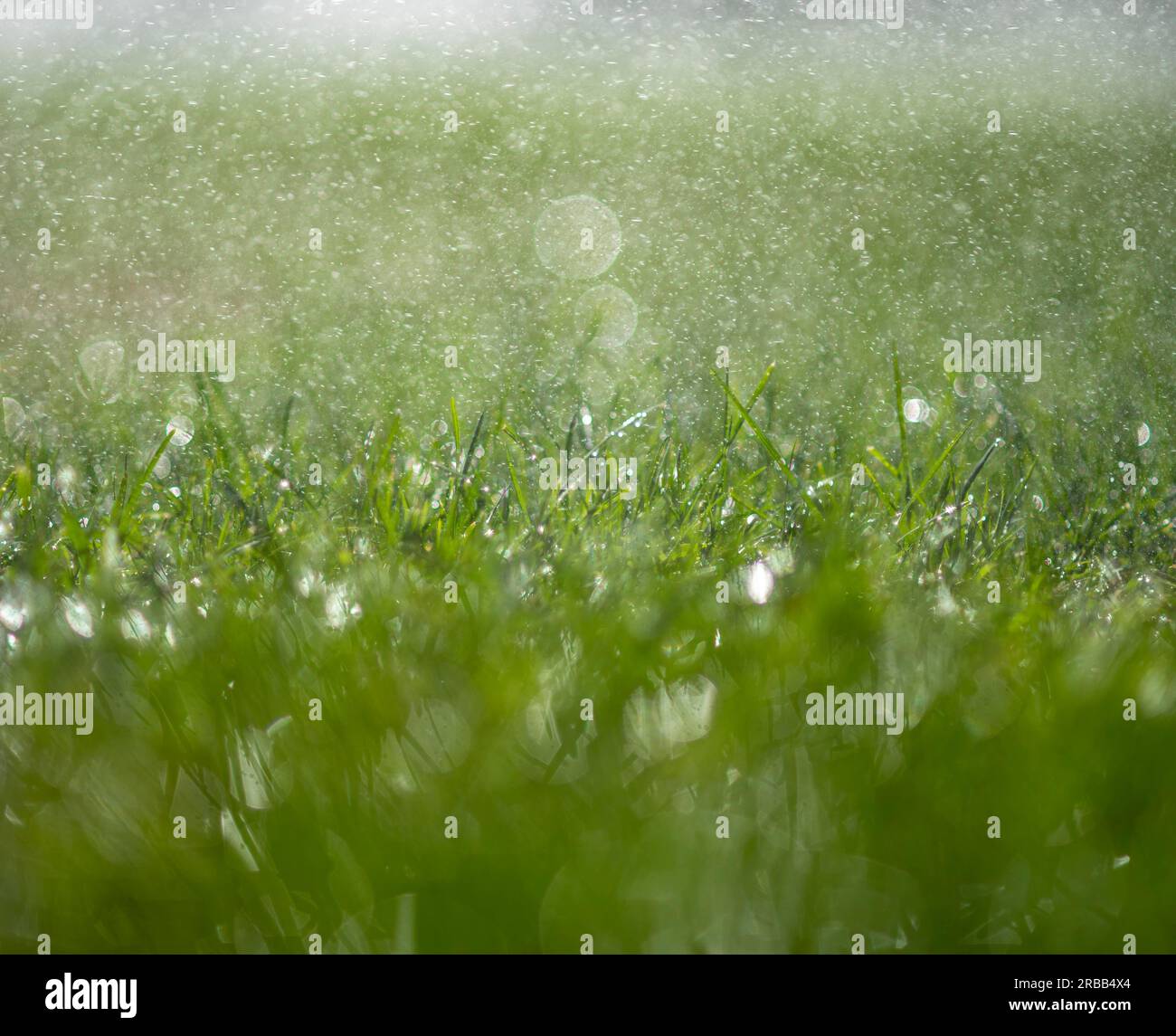 Farmland grass hi-res stock photography and images - Alamy