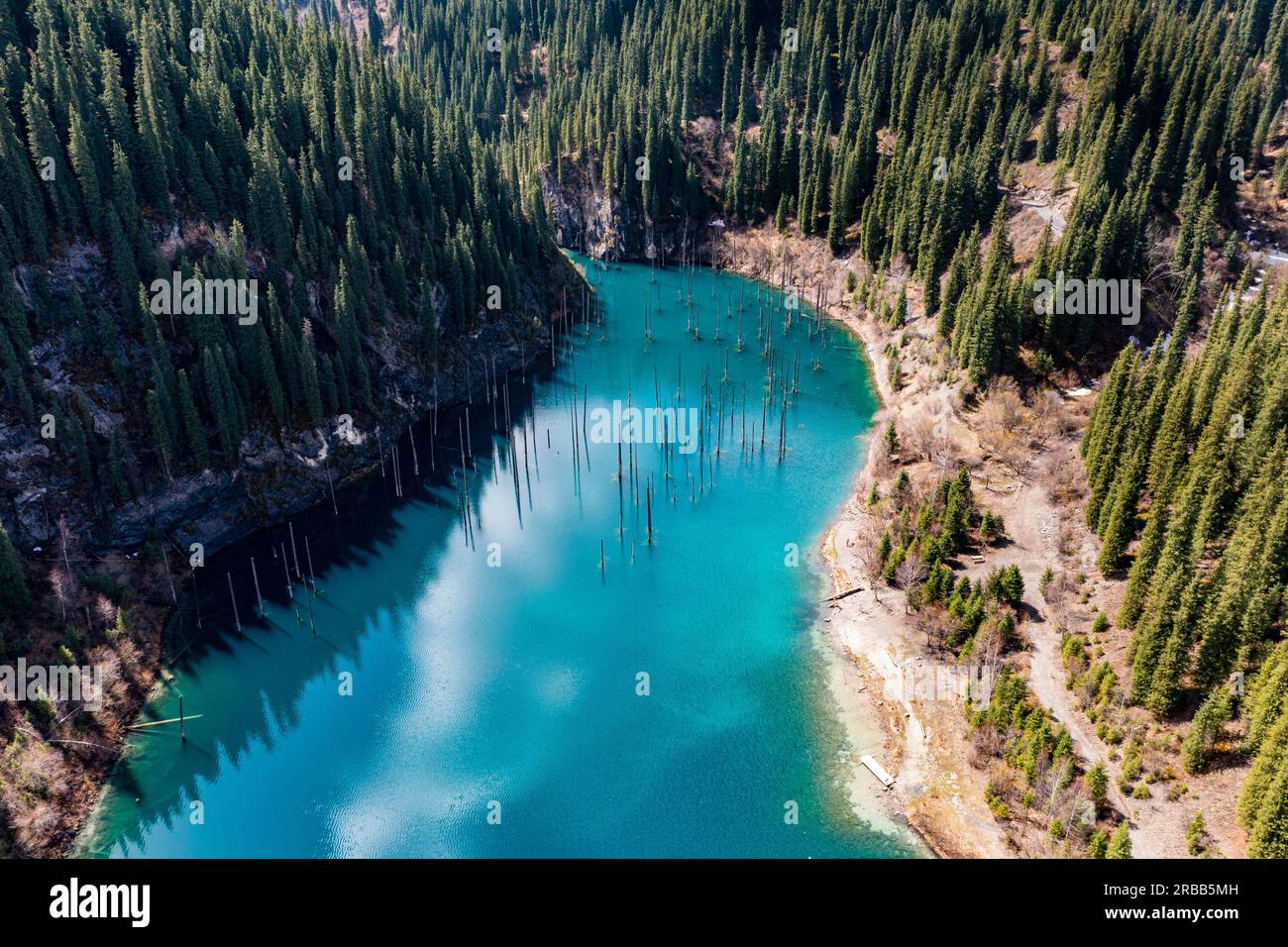 Aerial of the Kaindy lake with its dead trees, Kolsay Lakes National ...