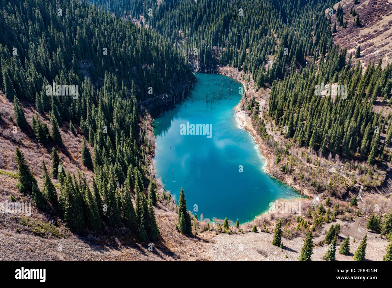 Aerial of the Kaindy lake with its dead trees, Kolsay Lakes National ...
