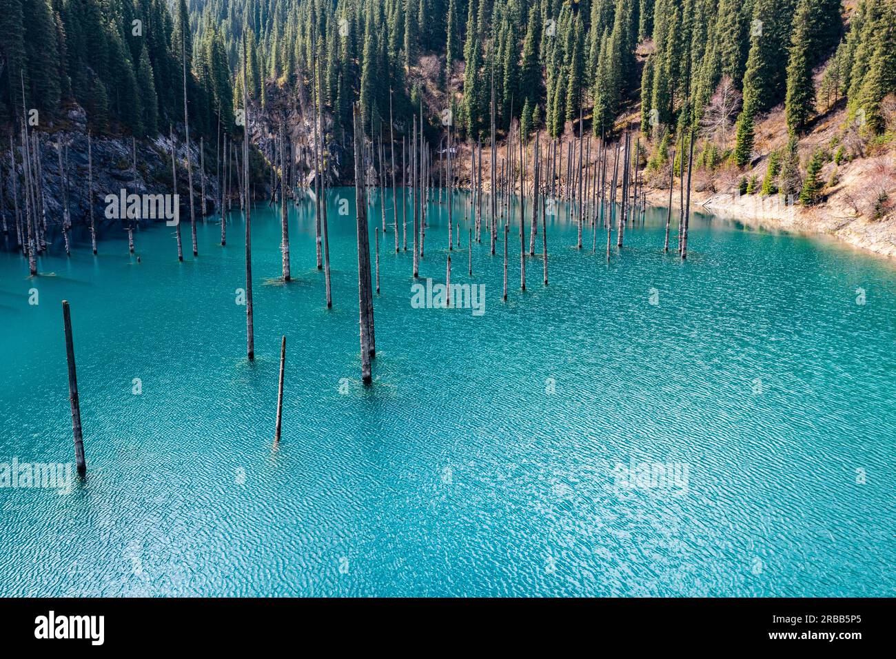 Aerial of the Kaindy lake with its dead trees, Kolsay Lakes National ...