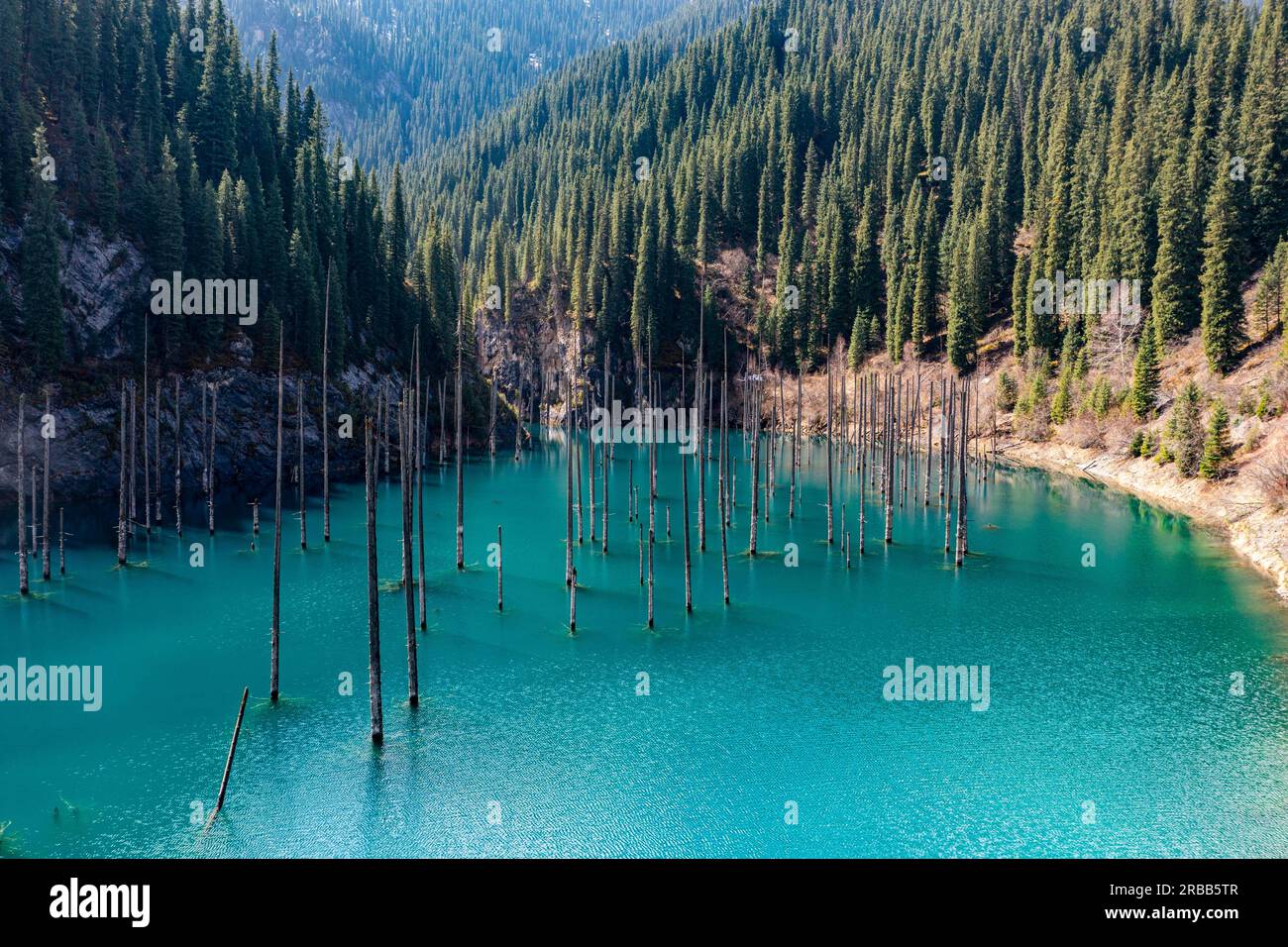 Aerial of the Kaindy lake with its dead trees, Kolsay Lakes National ...