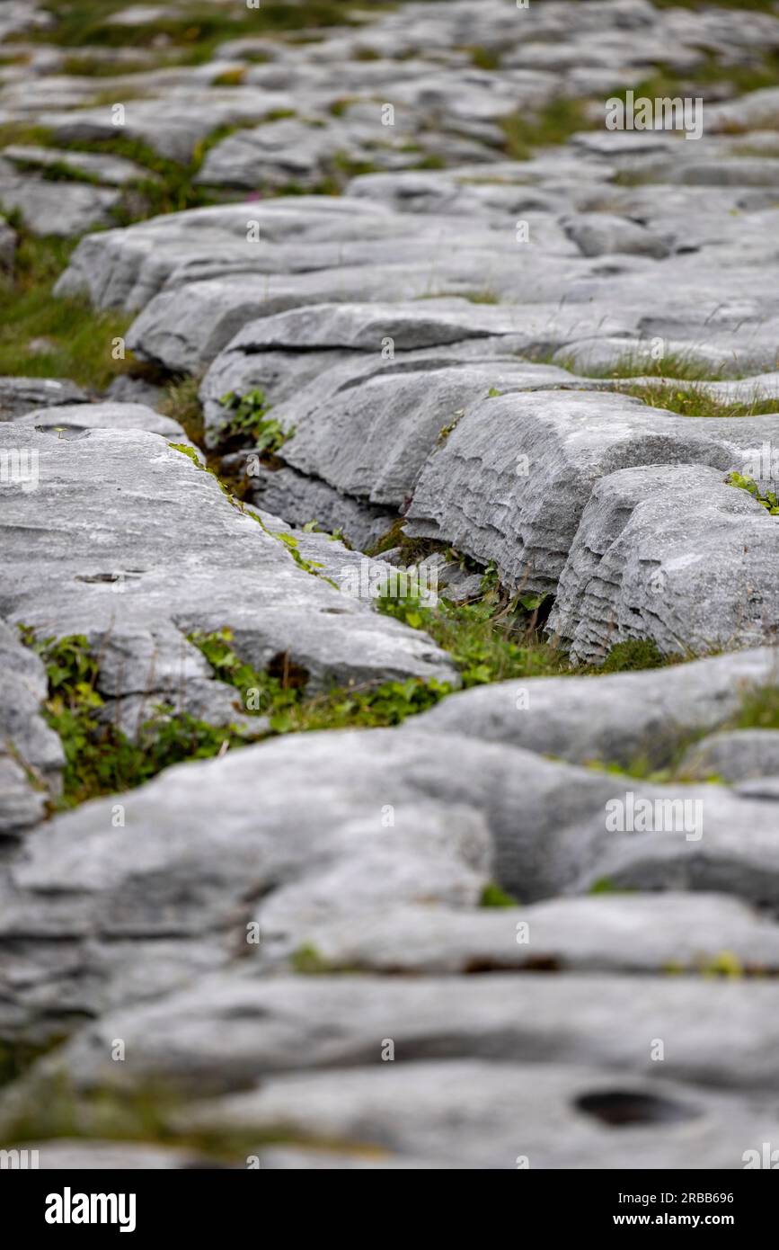 Barrows and gullies, gullies in limestone, karst area, Poulnabrone ...