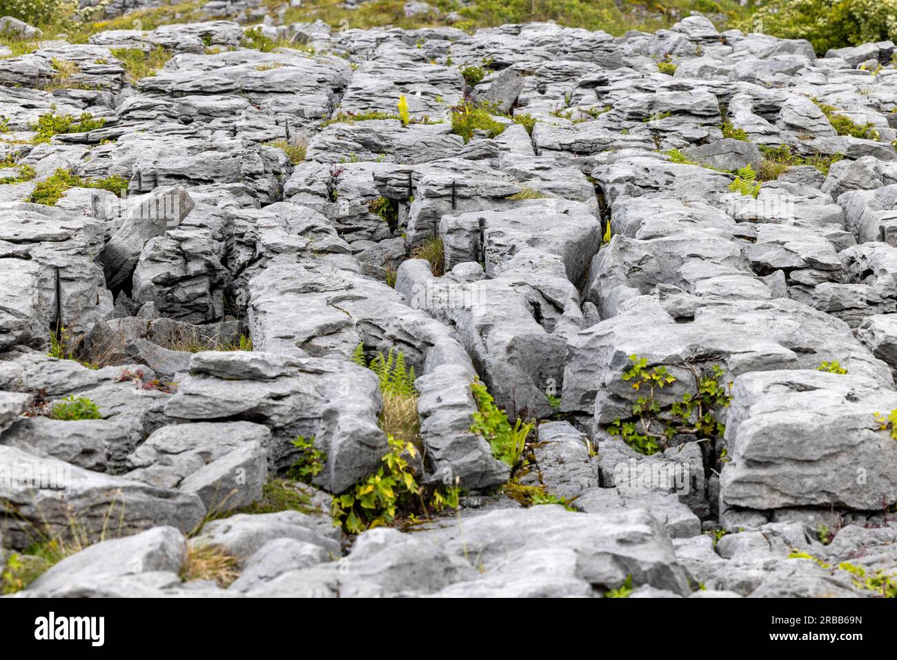 Barrows and gullies, gullies in limestone, karst area, Poulnabrone ...
