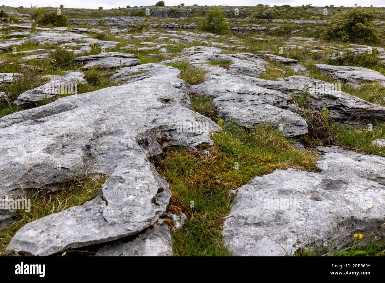 Barrows and gullies, gullies in limestone, karst area, Poulnabrone ...