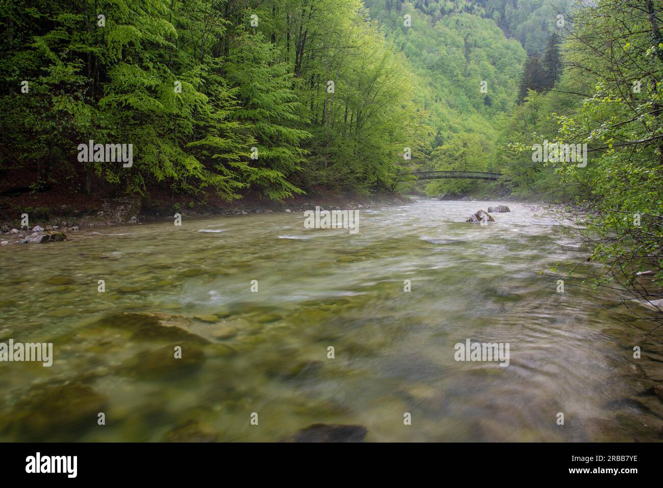 Beech trail across the mountain stream in the UNESCO World Heritage ...