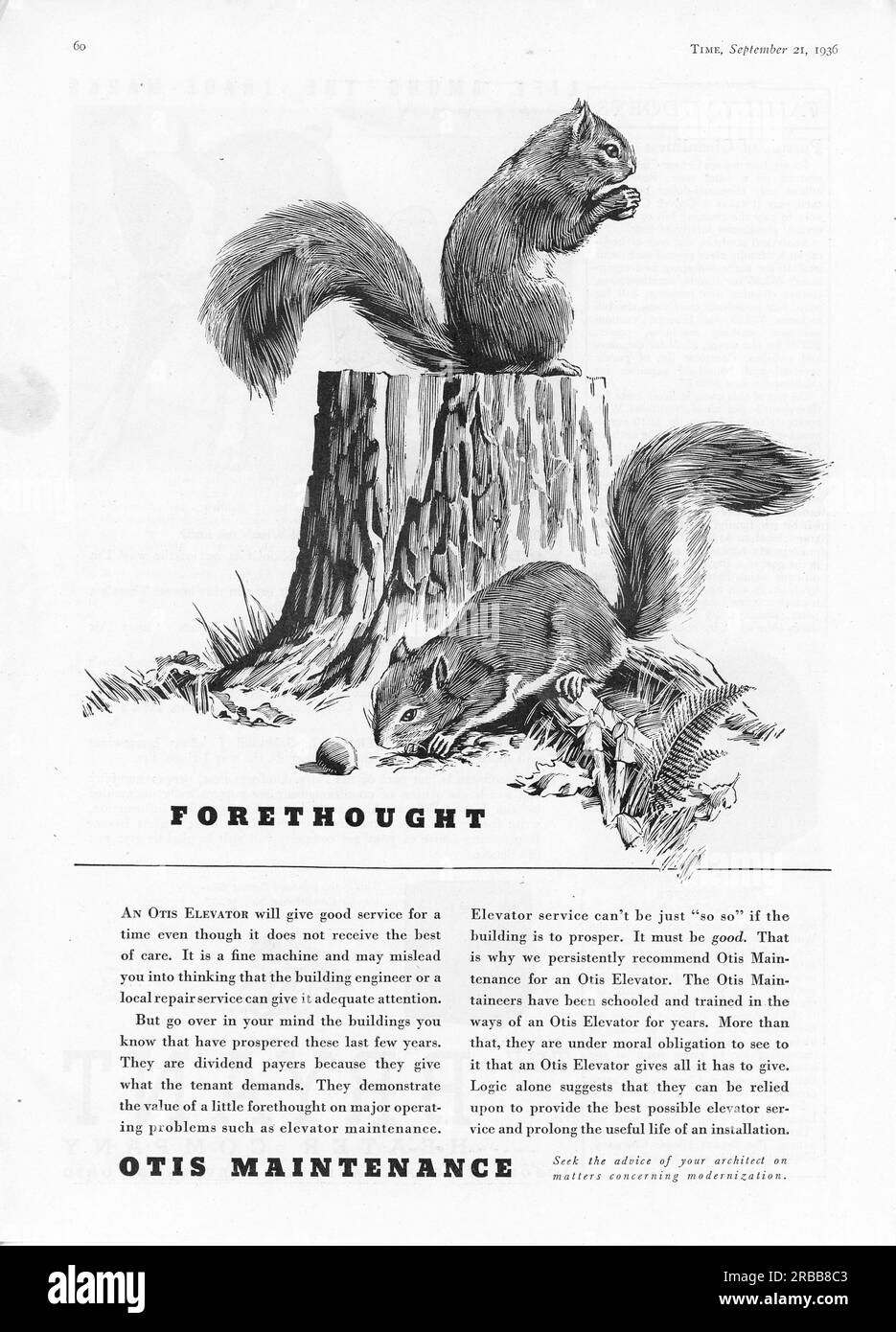 Vintage Time Magazine 21 September 1936 issue advert, USA Stock Photo ...