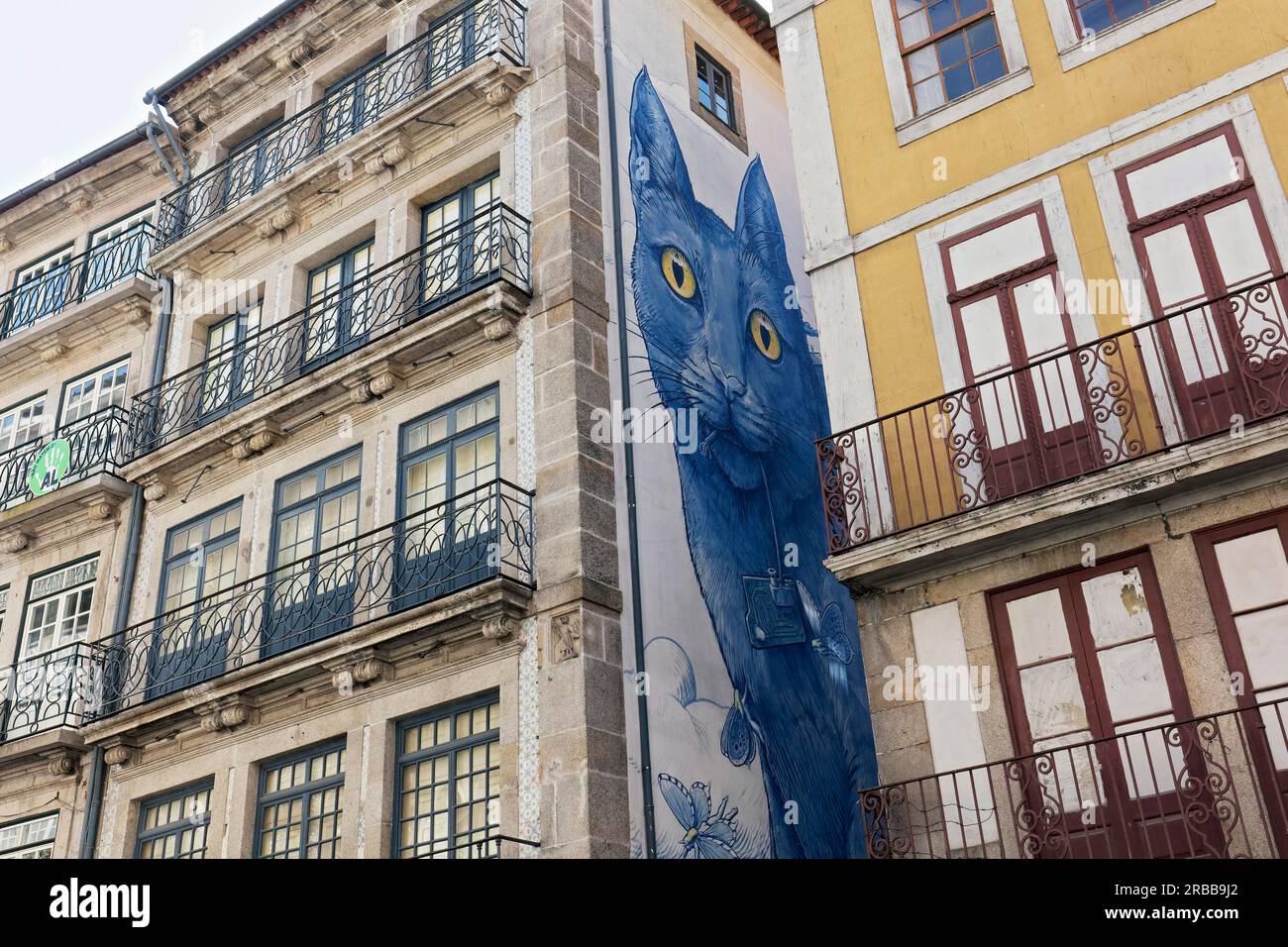 Mural blue cat, Mural by the artist Liqen, Rua das Flores, Baixa do ...