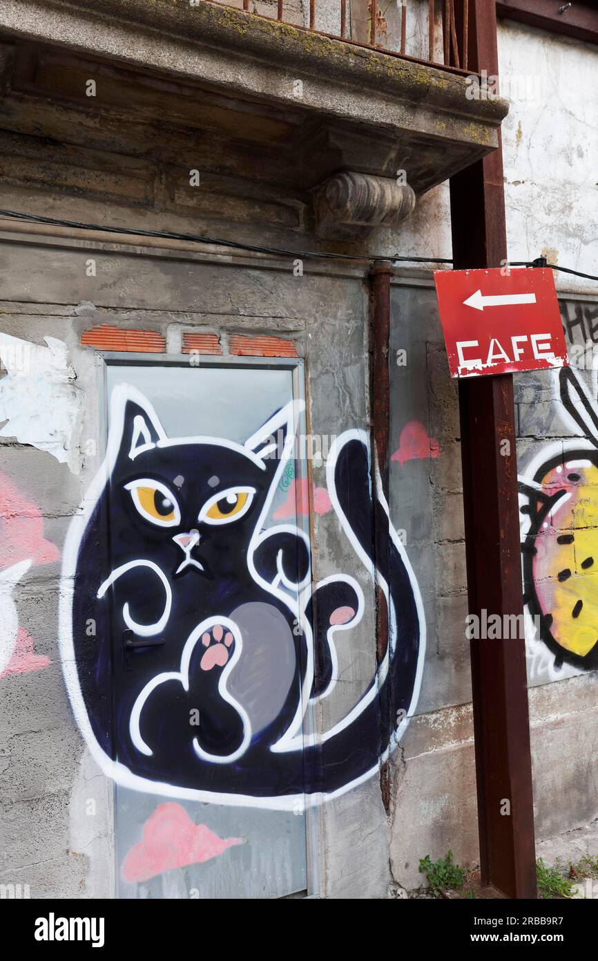 Graffiti cat hi-res stock photography and images - Alamy