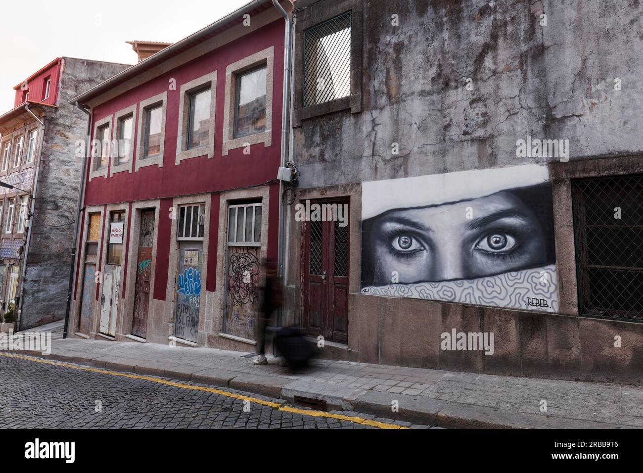 Eyes of a woman with a penetrating gaze, mural on an old house by ...