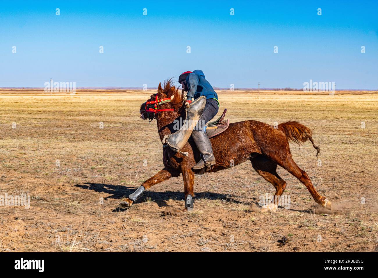 Kokpar player on his horse, Kokpar, national horse game, Kazakhstan ...