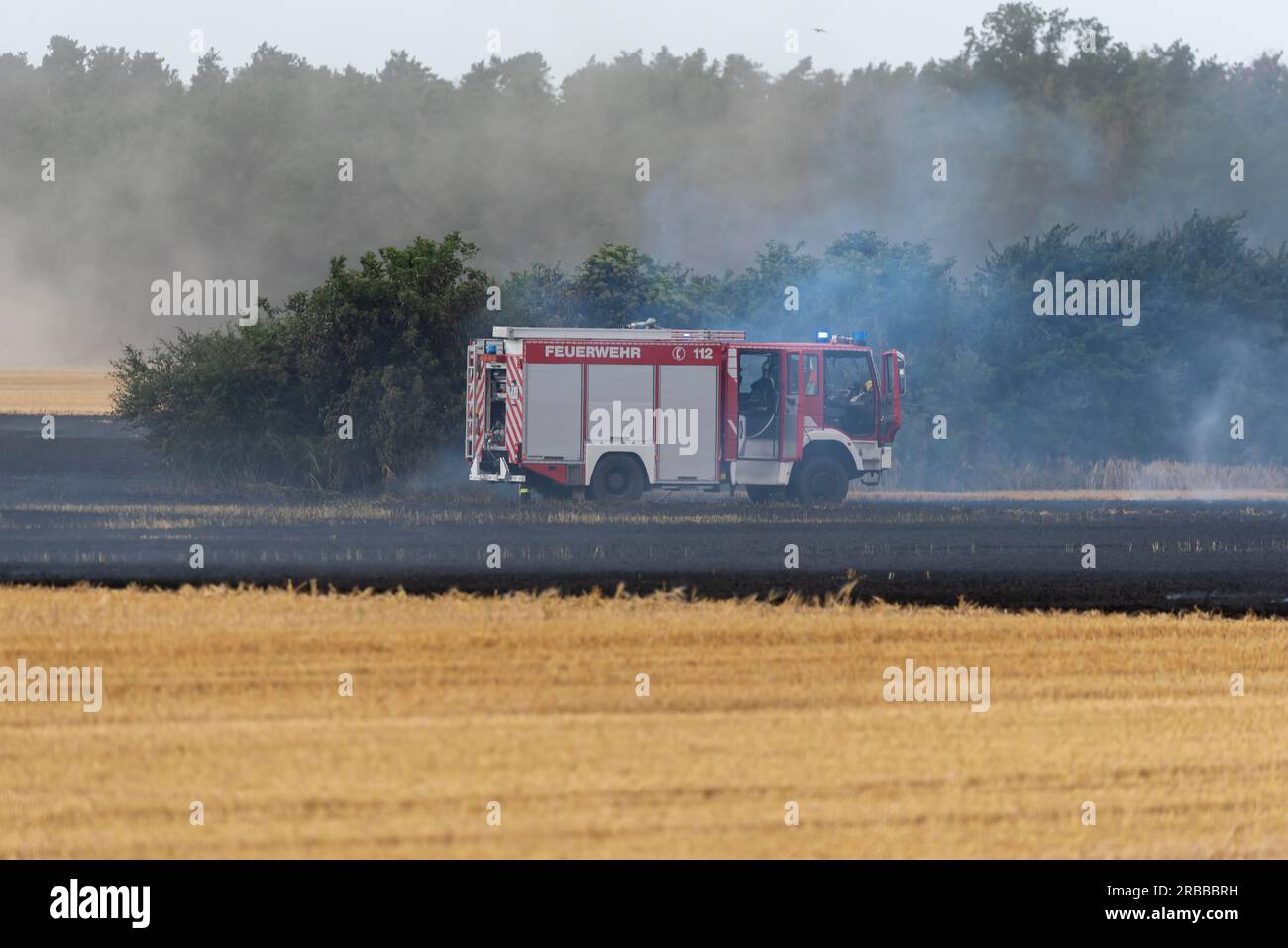 Field fire, fire brigade, extinguishing work, Gerwisch, Saxony-Anhalt ...
