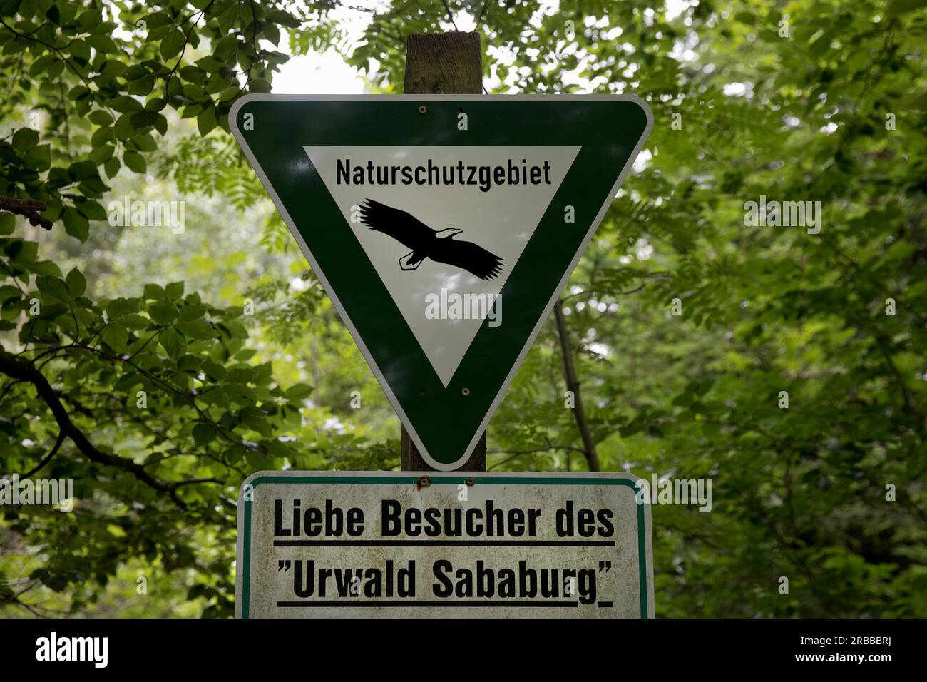 Nature reserve sign, NSG sign, in the primeval forest Sababurg ...