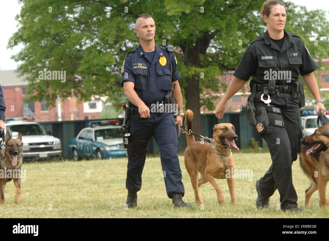 Law enforcement canine exercises on the occasion of the U.S. Park ...