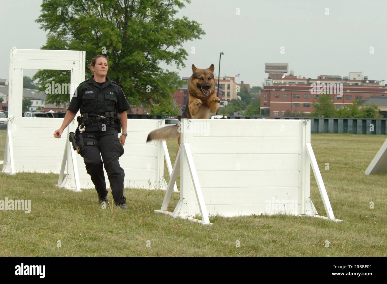 Law enforcement canine exercises on the occasion of the U.S. Park ...