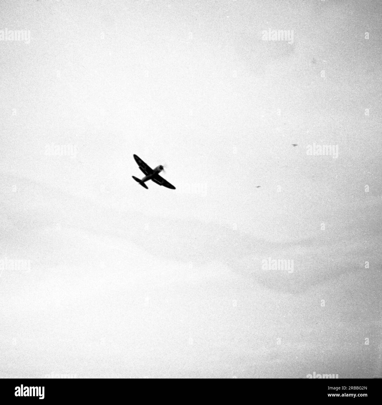 P-47D Thunderbolt Razorback - USAAF United States Army Air Force ...